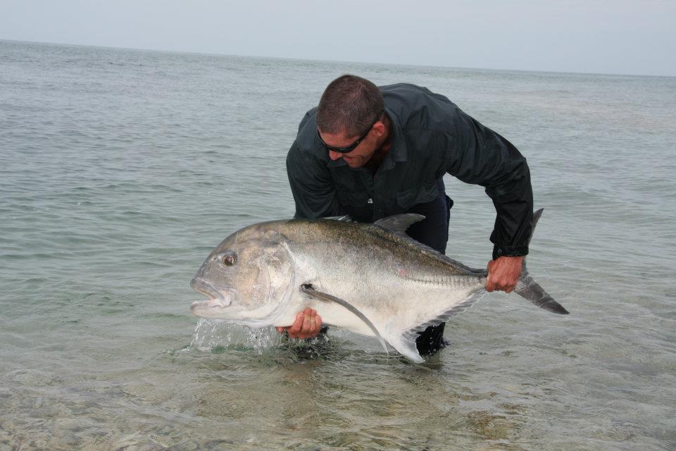 Monster GT fish caught in Darwin one of the biggest