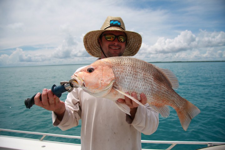 golden snapper, blue holes, Vernon Islands - Territory Guided Fishing