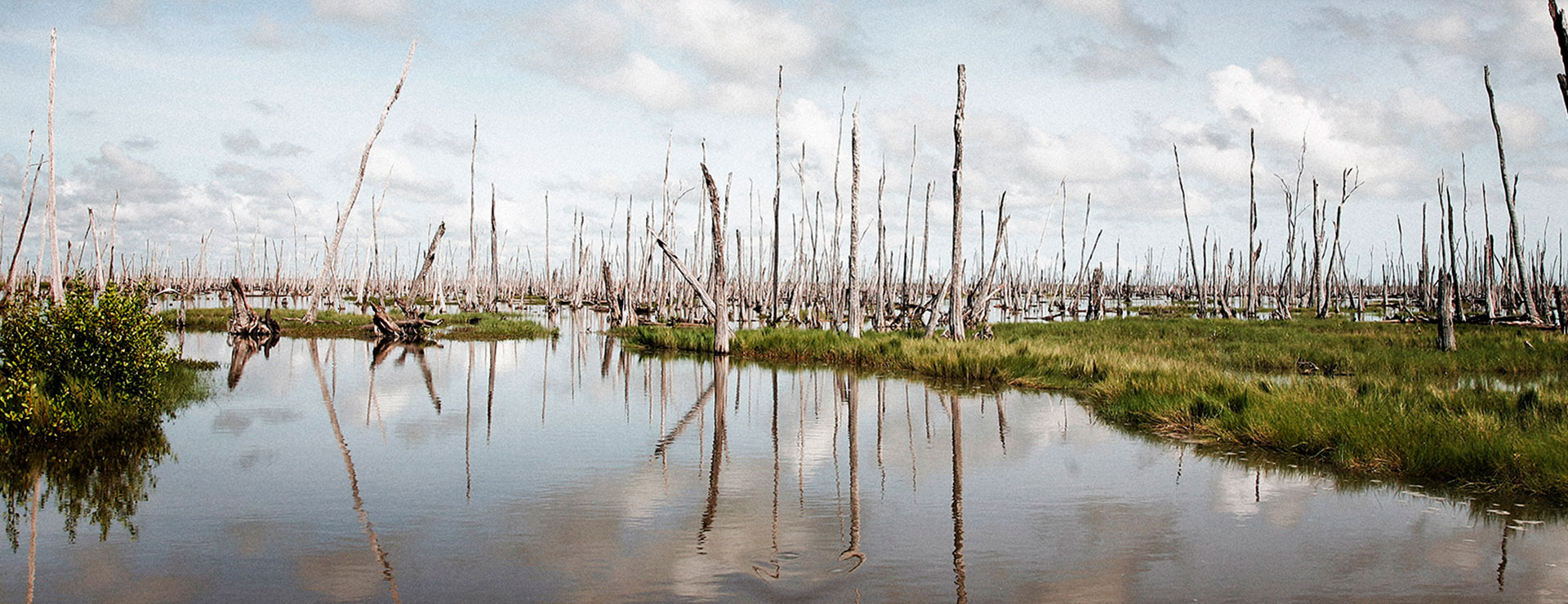 About Territory Guided Fishing - Top End Barra Fishing Charters